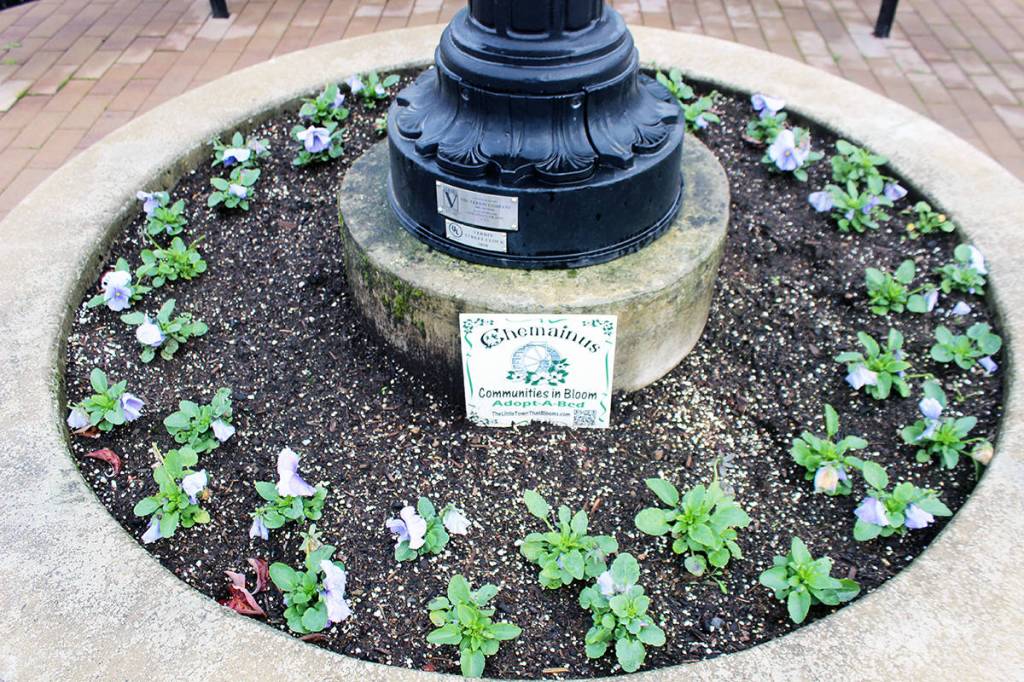 It bears repeating to decorate for the holidays | Chemainus Valley Courier