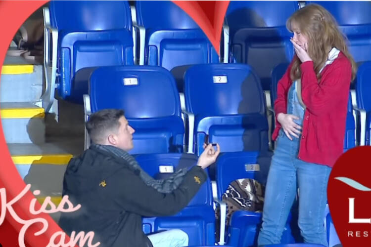 VIDEO: Victoria hockey fans get ‘Royal’ proposal caught on kiss cam ...